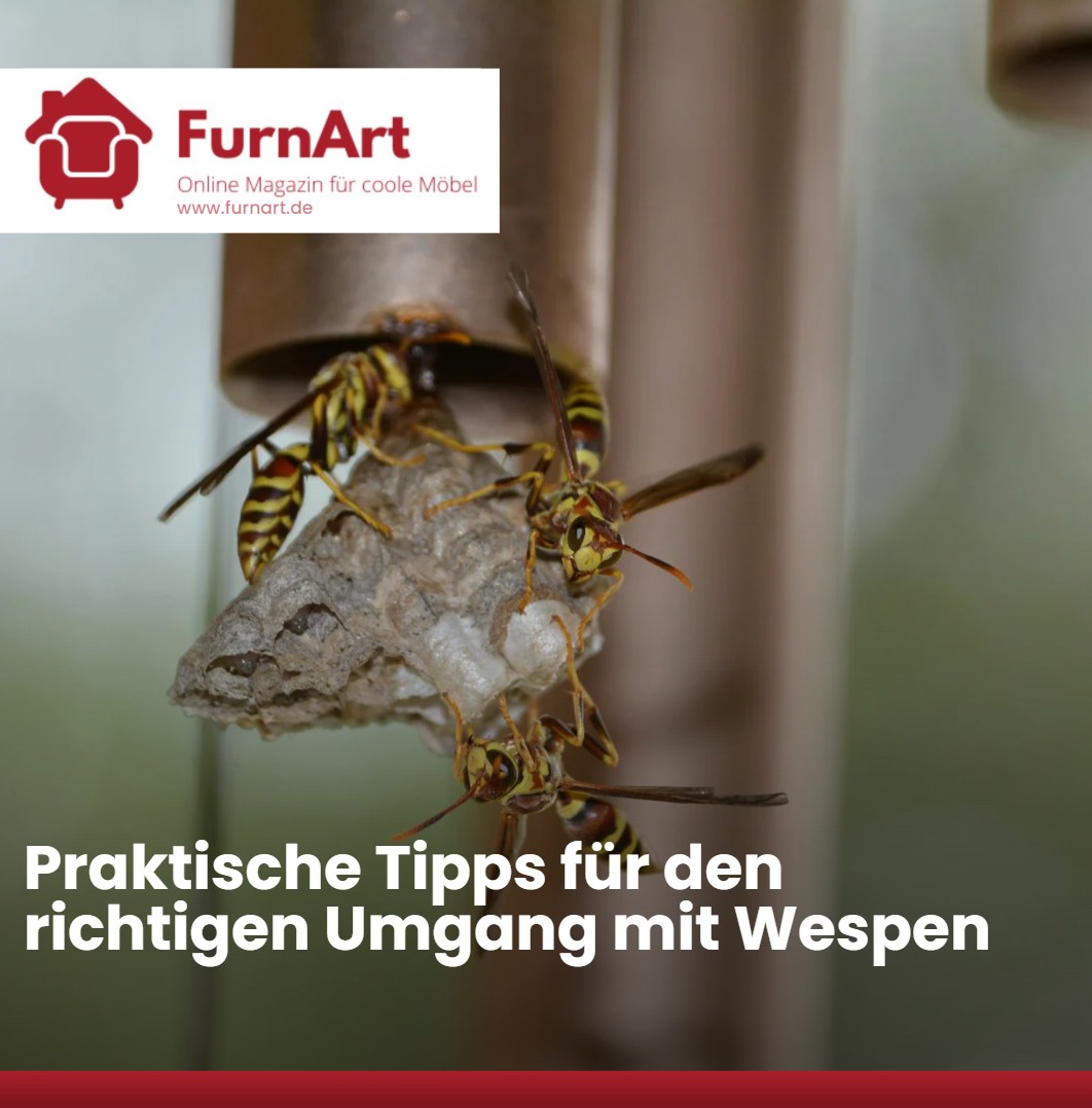 Fabelhafte Wespennest Entfernen Wer Bilder